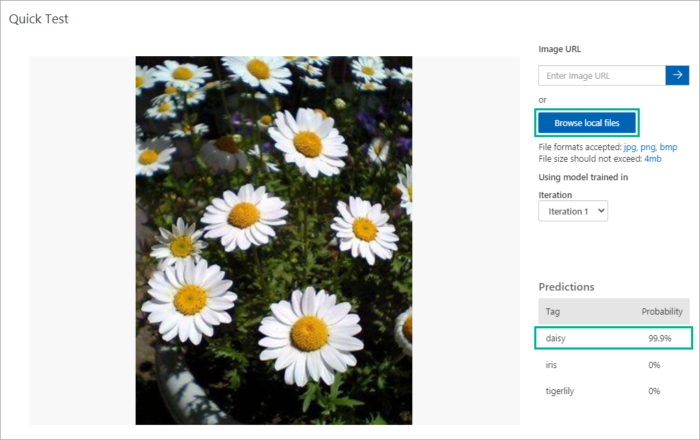 Build a flower classification model with Azure Custom Vision